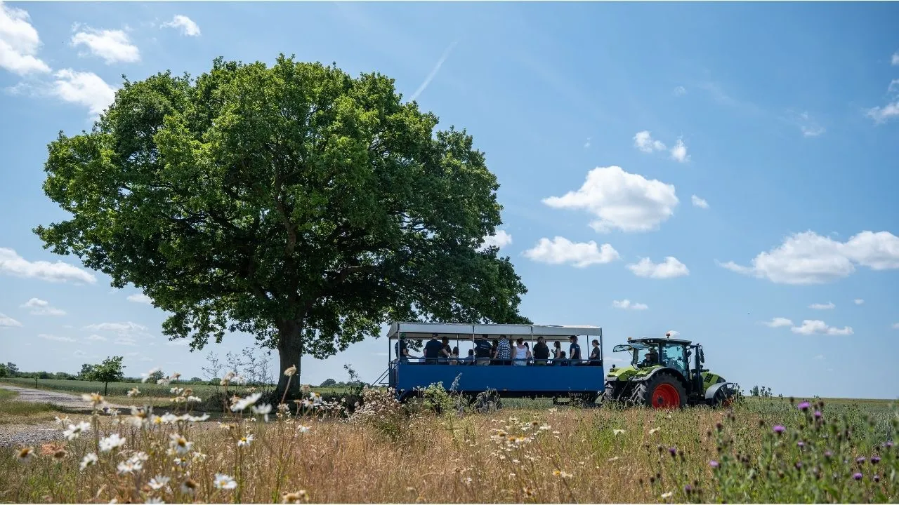 Soil Capital announces fourth farmer payment round as the impact of its regenerative agriculture ...